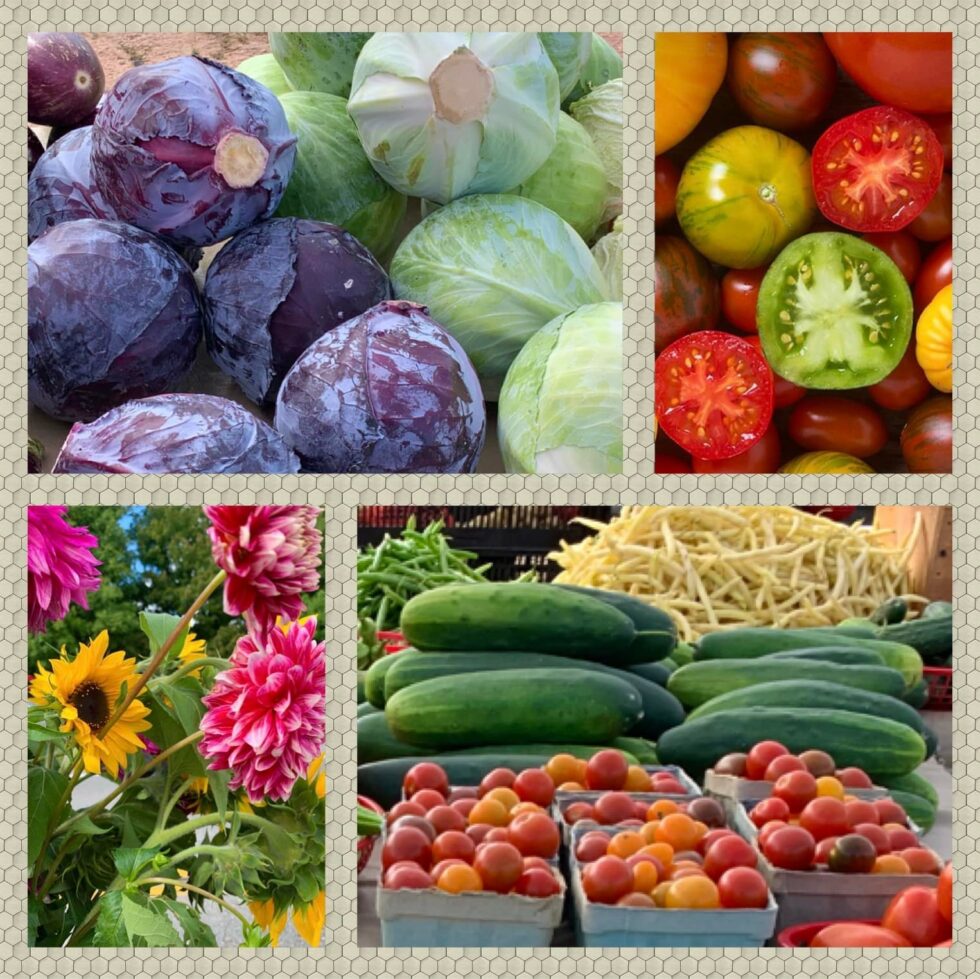 Village of Marathon City